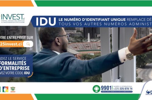 Le numéro d'Identifiant Unique : une clé de voûte des services à l ...